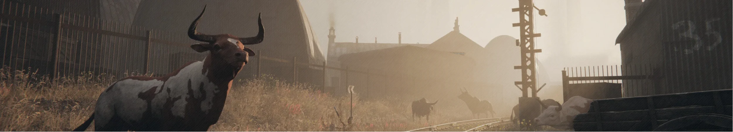 Community - MetaSteam | January 2026 - Midnight BOY in the Big Rally ...